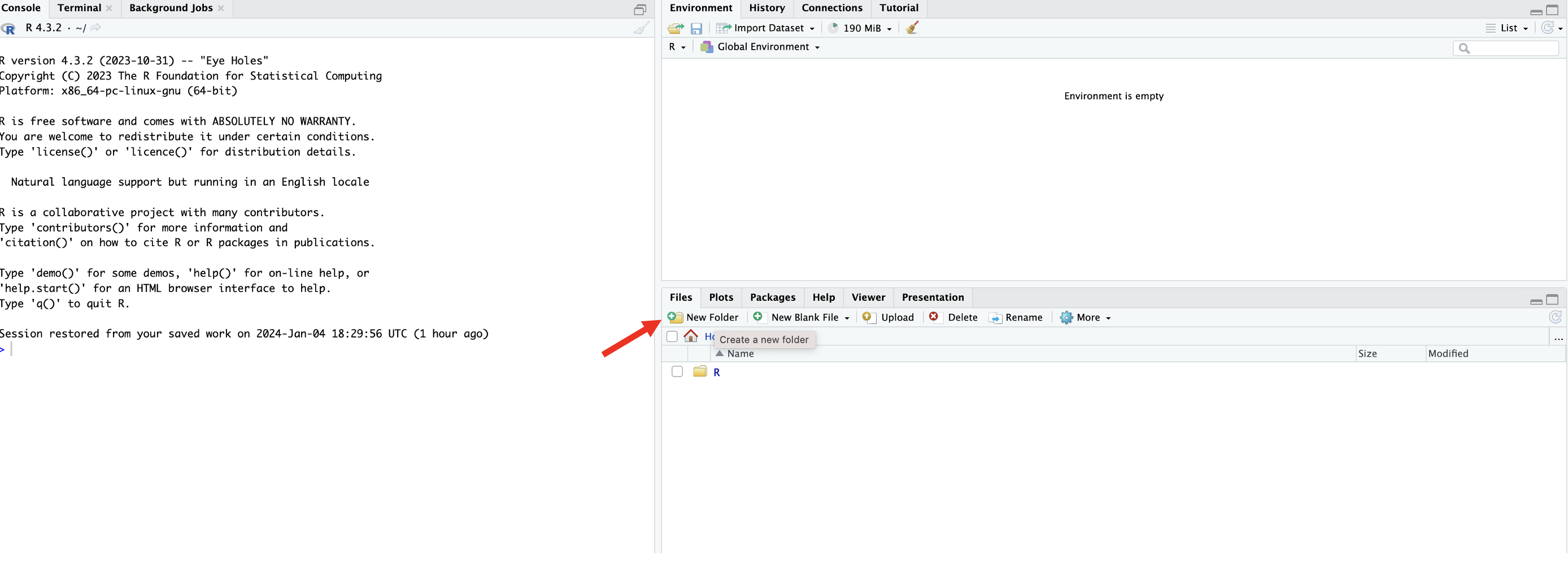 RStudio Server – Climatic Environments
